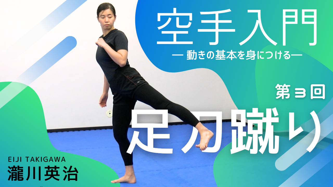 Part 3, Sokuto-geri "Introduction to karate - Learn the basics of ...