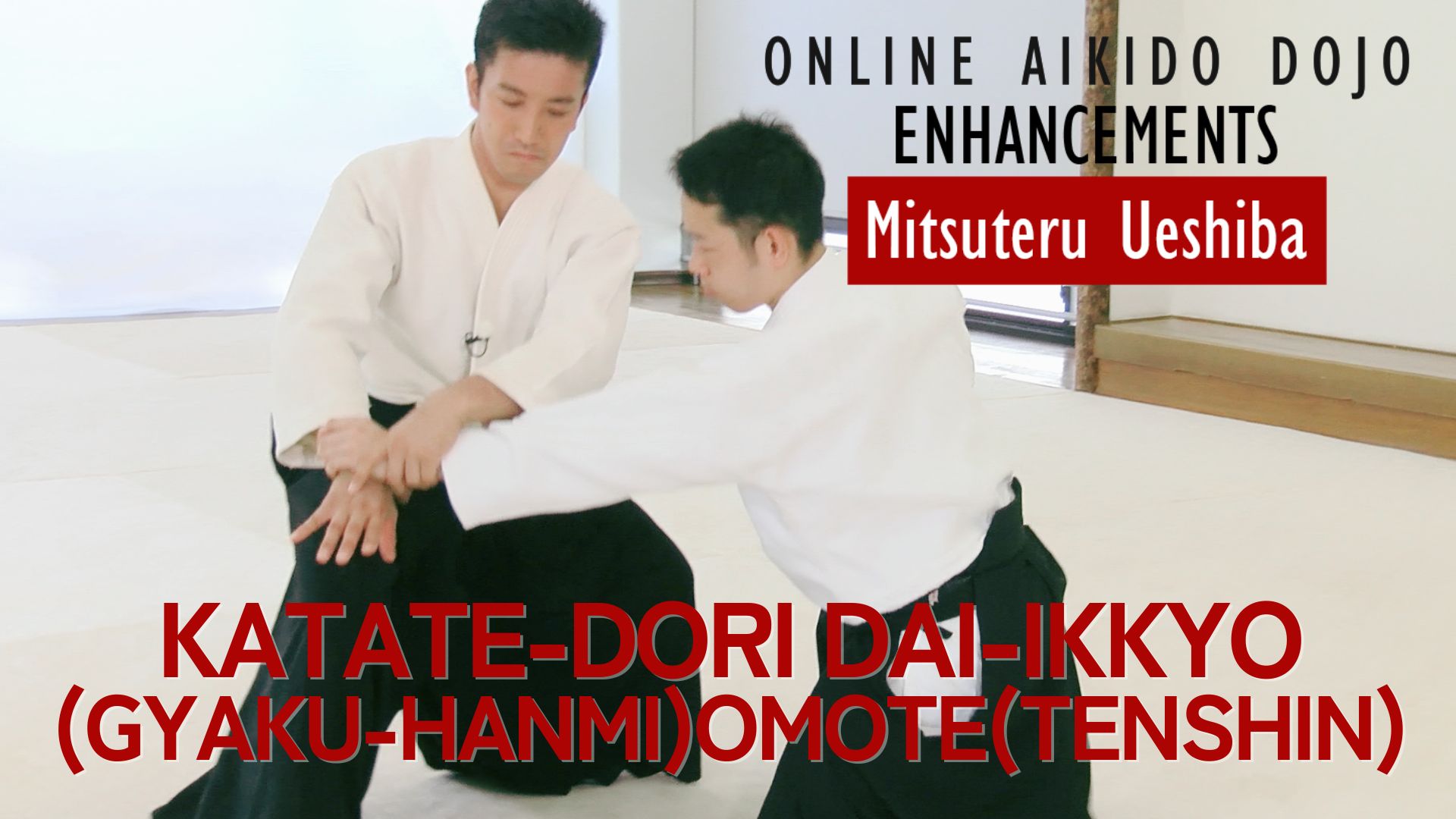 Part 21 katate-dori dai-ikkyo(gyaku-hanmi)omote(tenshin), ONLINE AIKIDO ...